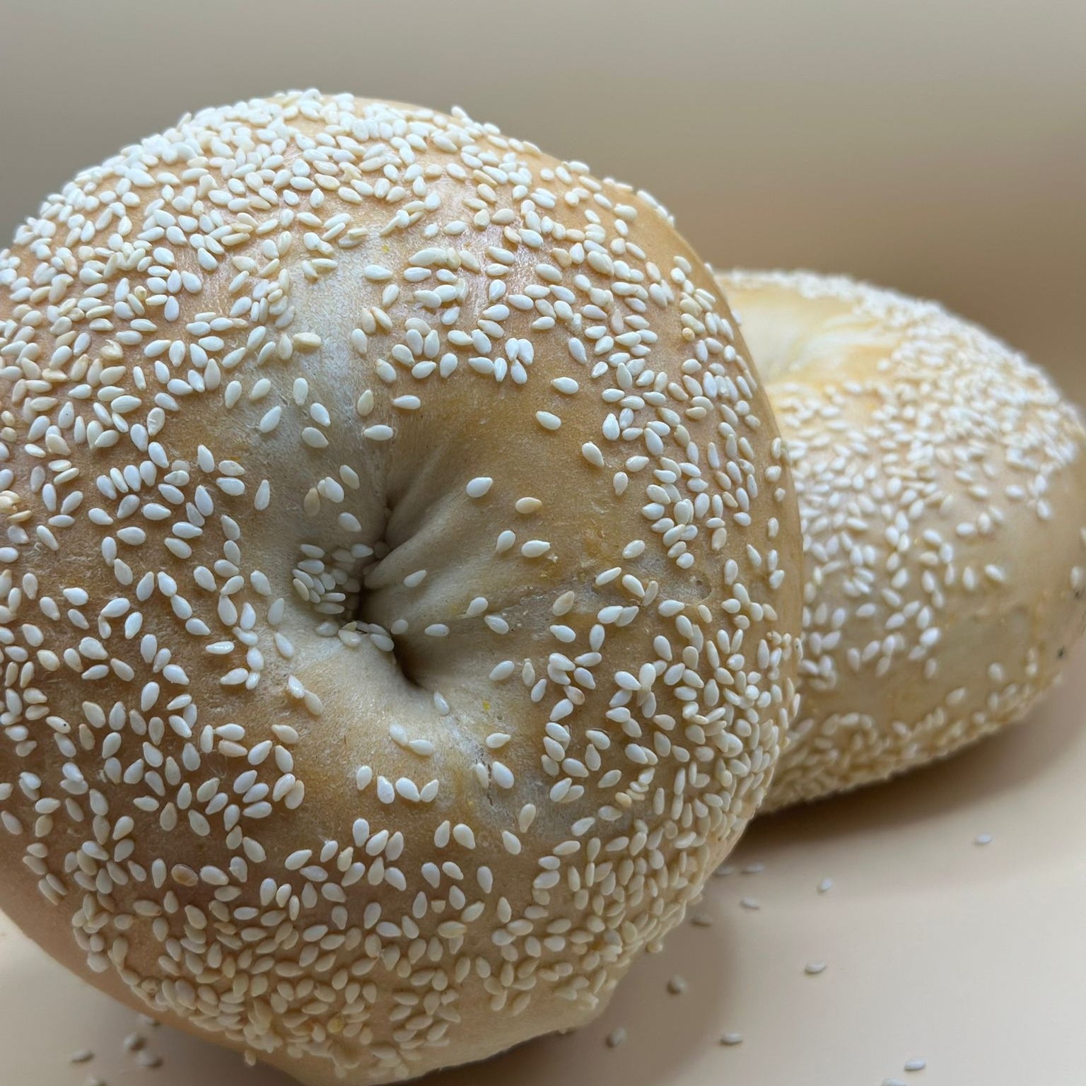 Single Bagel | House Of Bagels.Corp